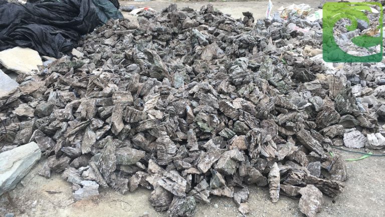 Đá vỉa thủy sinh | Bể Cá Thủy Sinh Mini