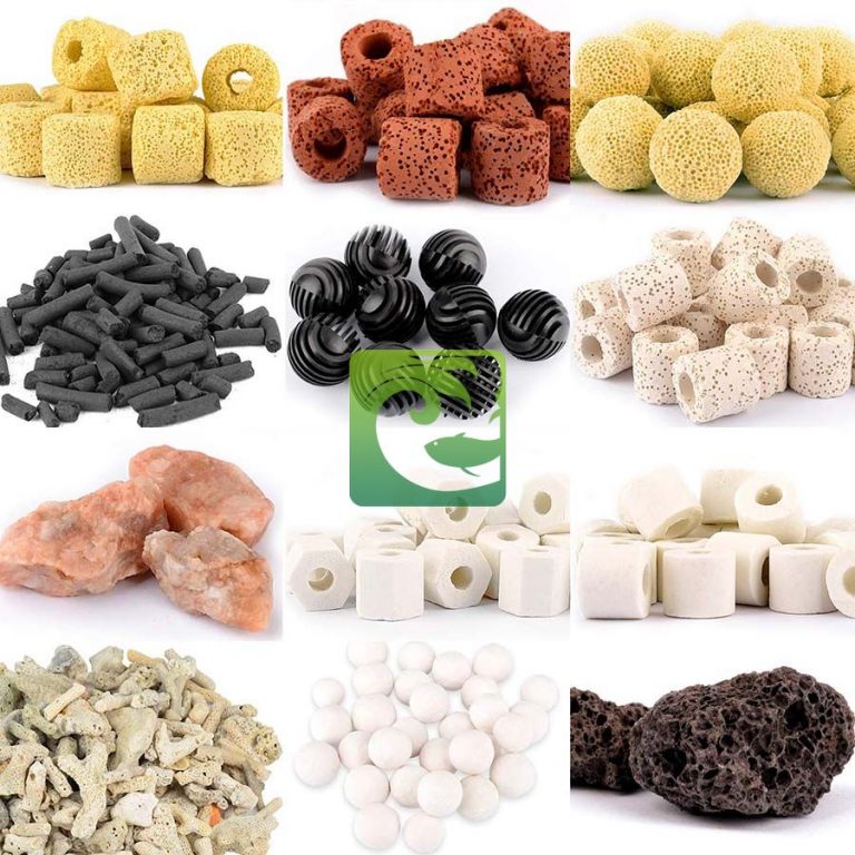 Tác dụng của vật liệu lọc bể cá | Bể Cá Thủy Sinh Mini
